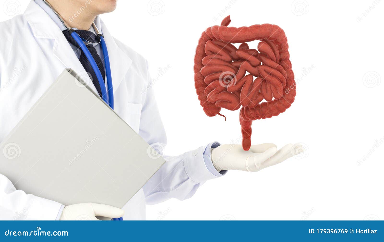 Doctor Touch Intestine Check Human Intestine Stock Image - Image of ...