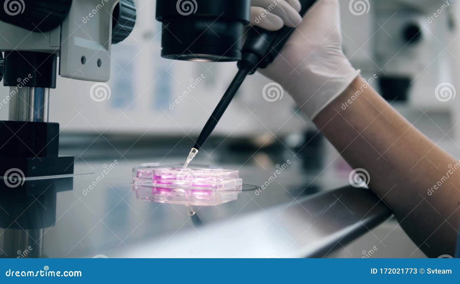 Doctor Uses Needle, Working with Fertilised Eggs. in Vitro ...