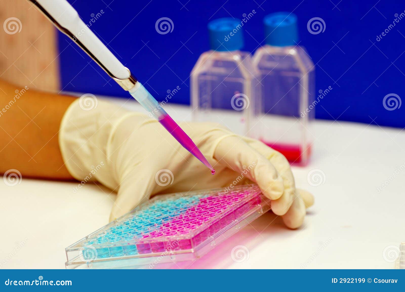 Doctor using microtip stock image. Image of chemistry - 2922199