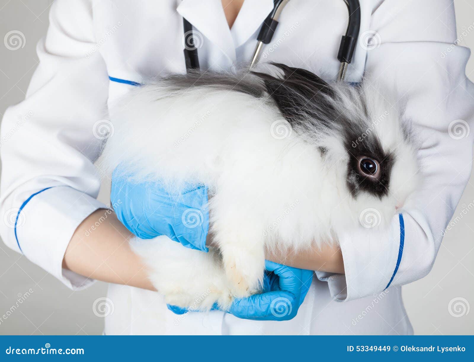 Doctor with white rabbit stock image. Image of health - 53349449