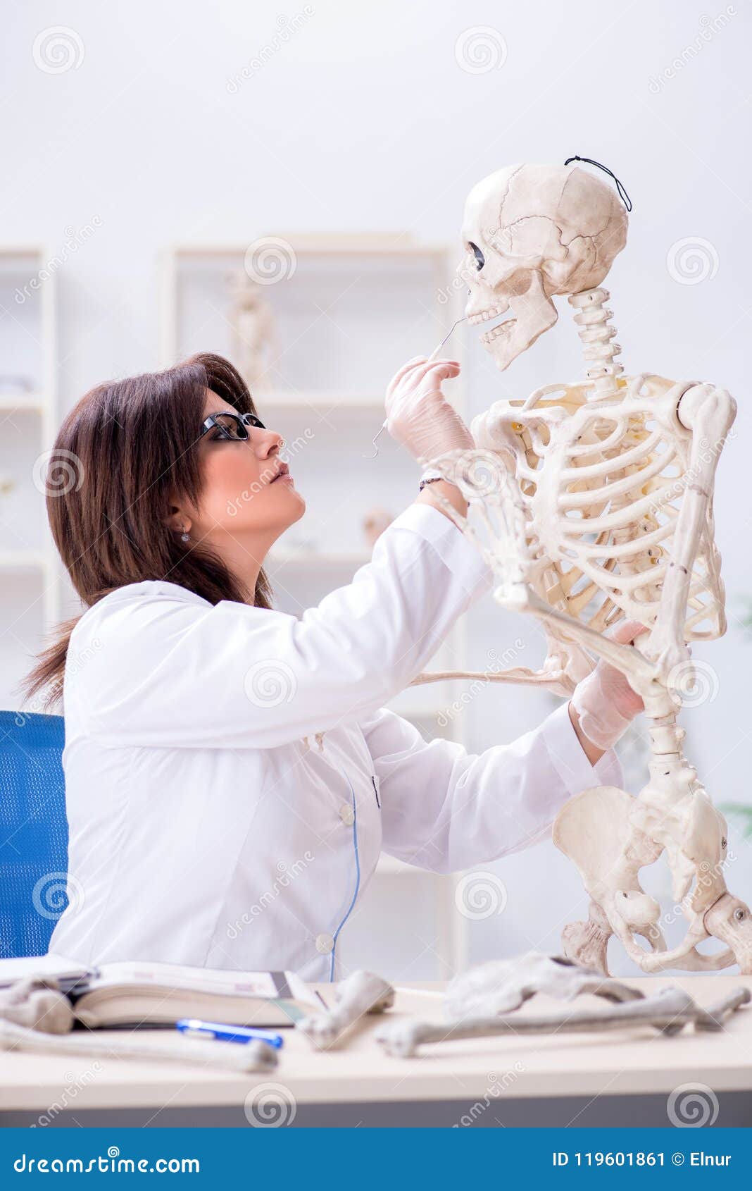 The Doctor Working in the Lab on Skeleton Stock Image - Image of ...