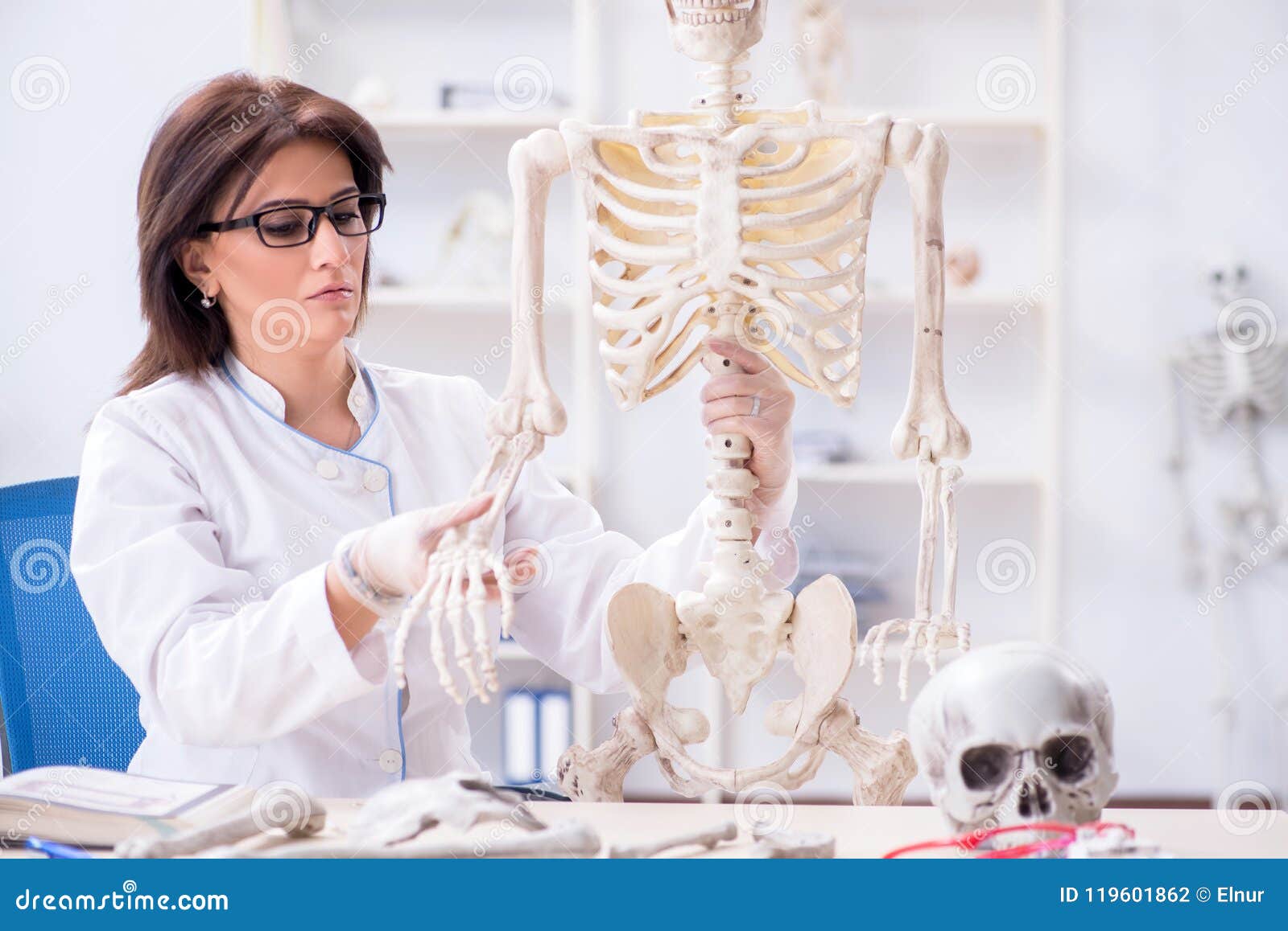 The Doctor Working in the Lab on Skeleton Stock Photo - Image of ...