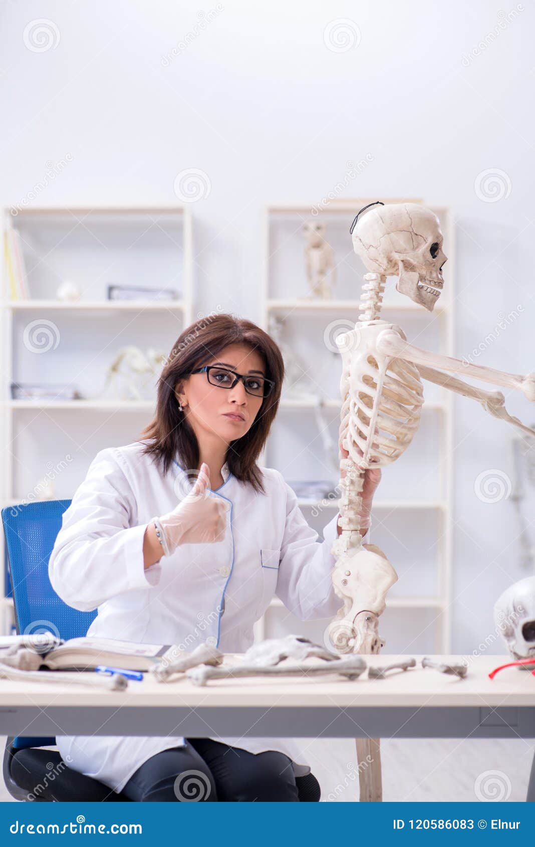 The Doctor Working in the Lab on Skeleton Stock Image - Image of ...
