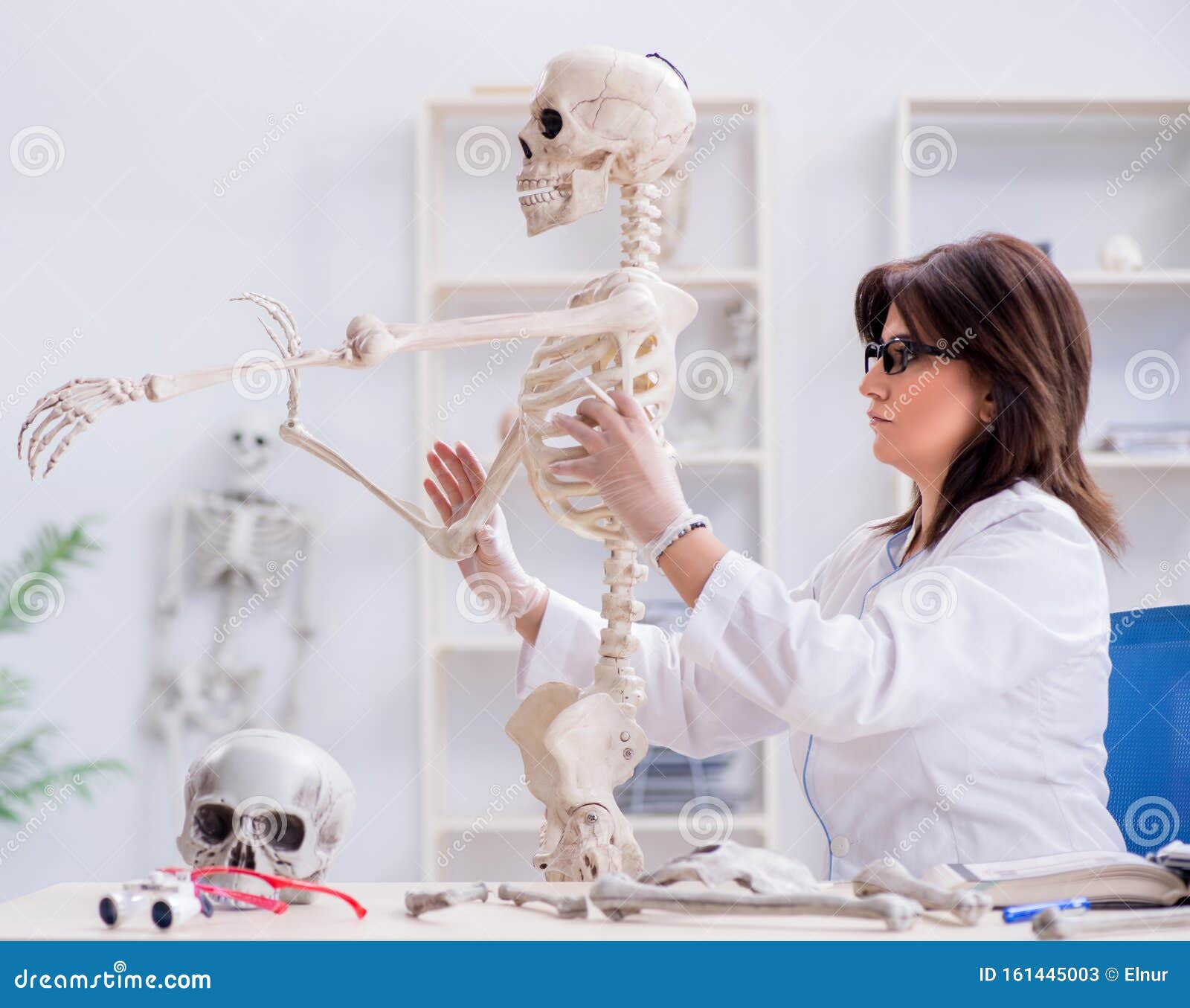 Doctor Working in the Lab on Skeleton Stock Image - Image of ...