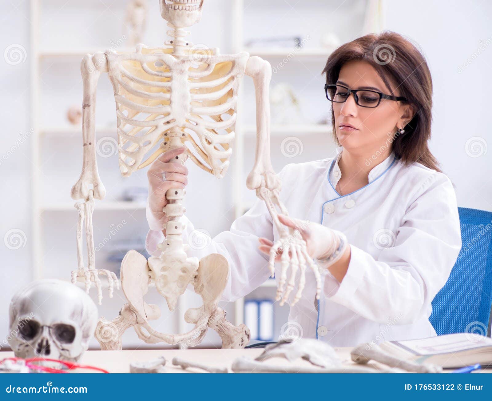 Doctor Working in the Lab on Skeleton Stock Photo - Image of ...