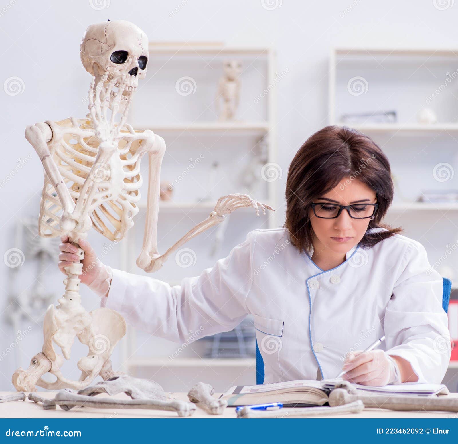 Doctor Working in the Lab on Skeleton Stock Photo - Image of case ...