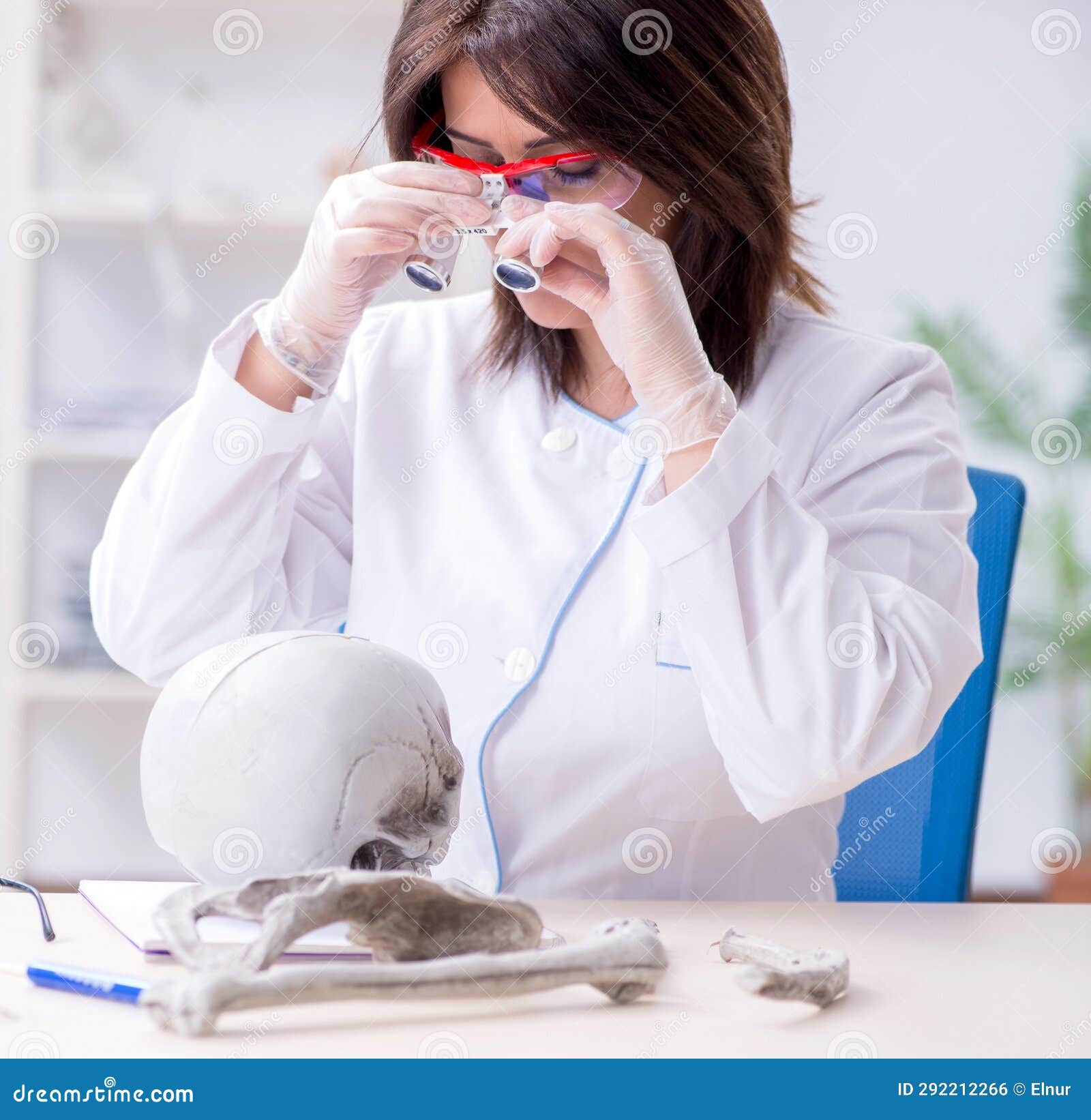 Doctor Working in the Lab on Skeleton Stock Photo - Image of doctor ...