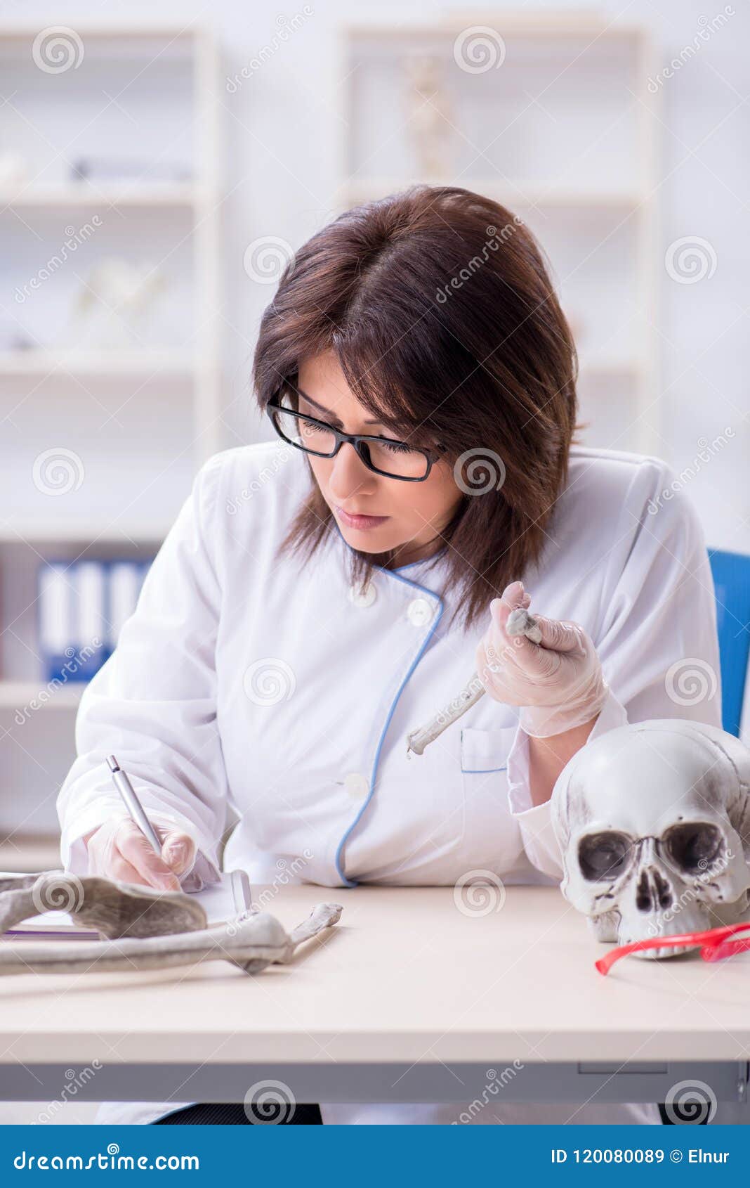 The Doctor Working in the Lab on Skeleton Stock Image - Image of ...