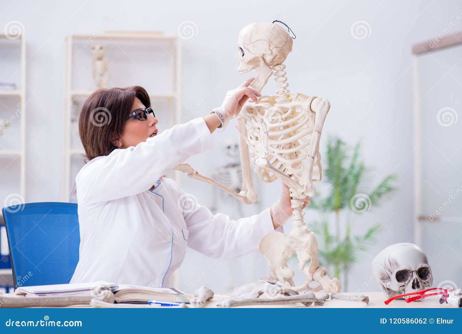 The Doctor Working in the Lab on Skeleton Stock Photo - Image of doctor ...