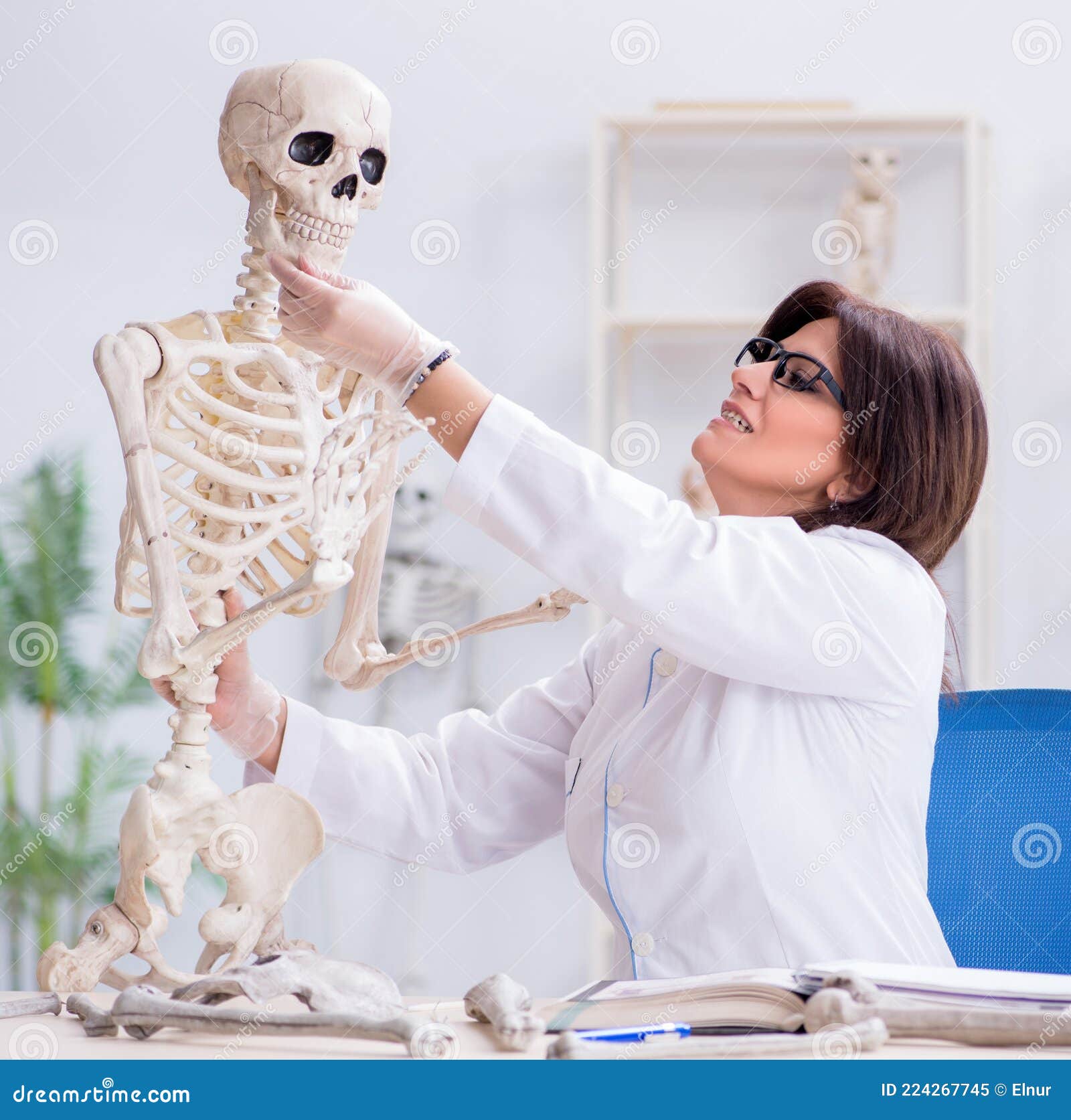 Doctor Working in the Lab on Skeleton Stock Image - Image of joint ...