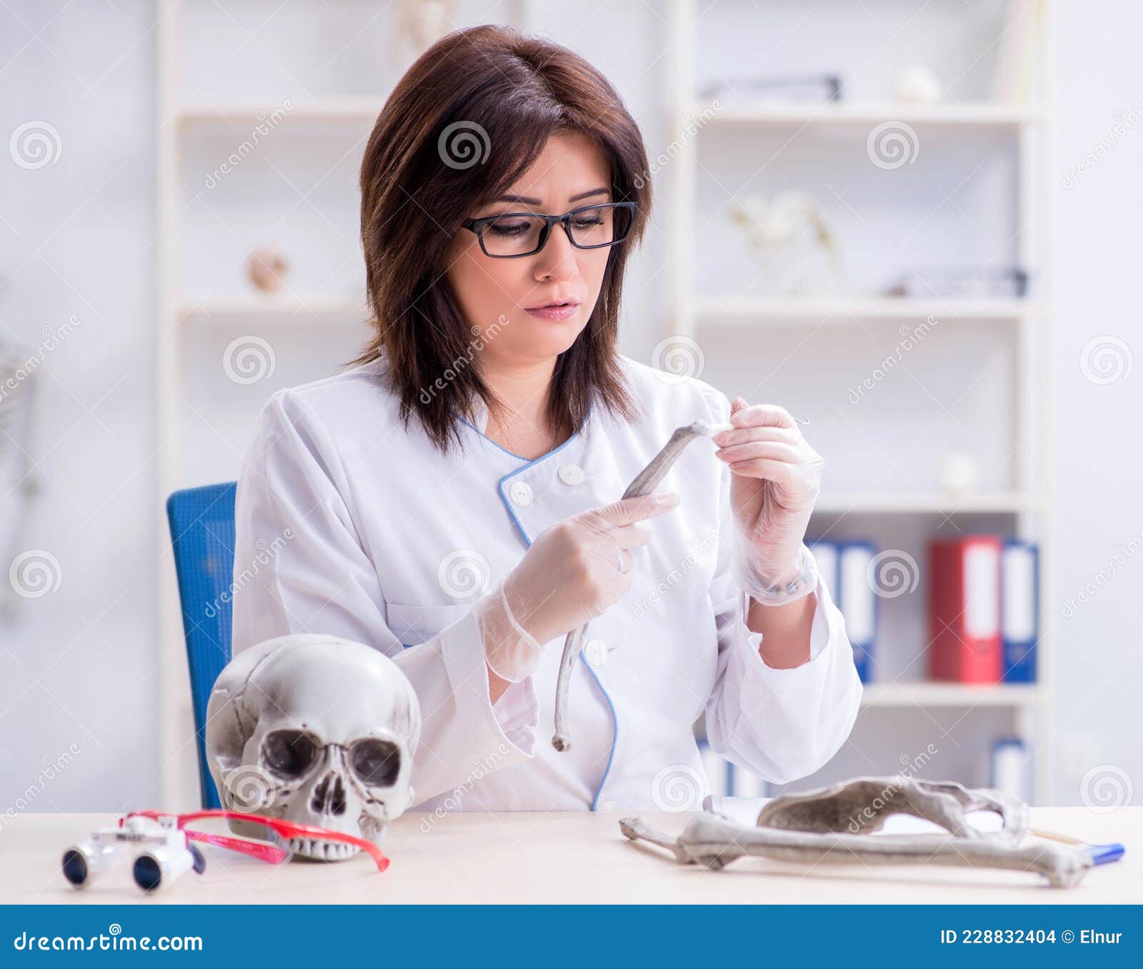 Doctor Working in the Lab on Skeleton Stock Photo - Image of laboratory ...