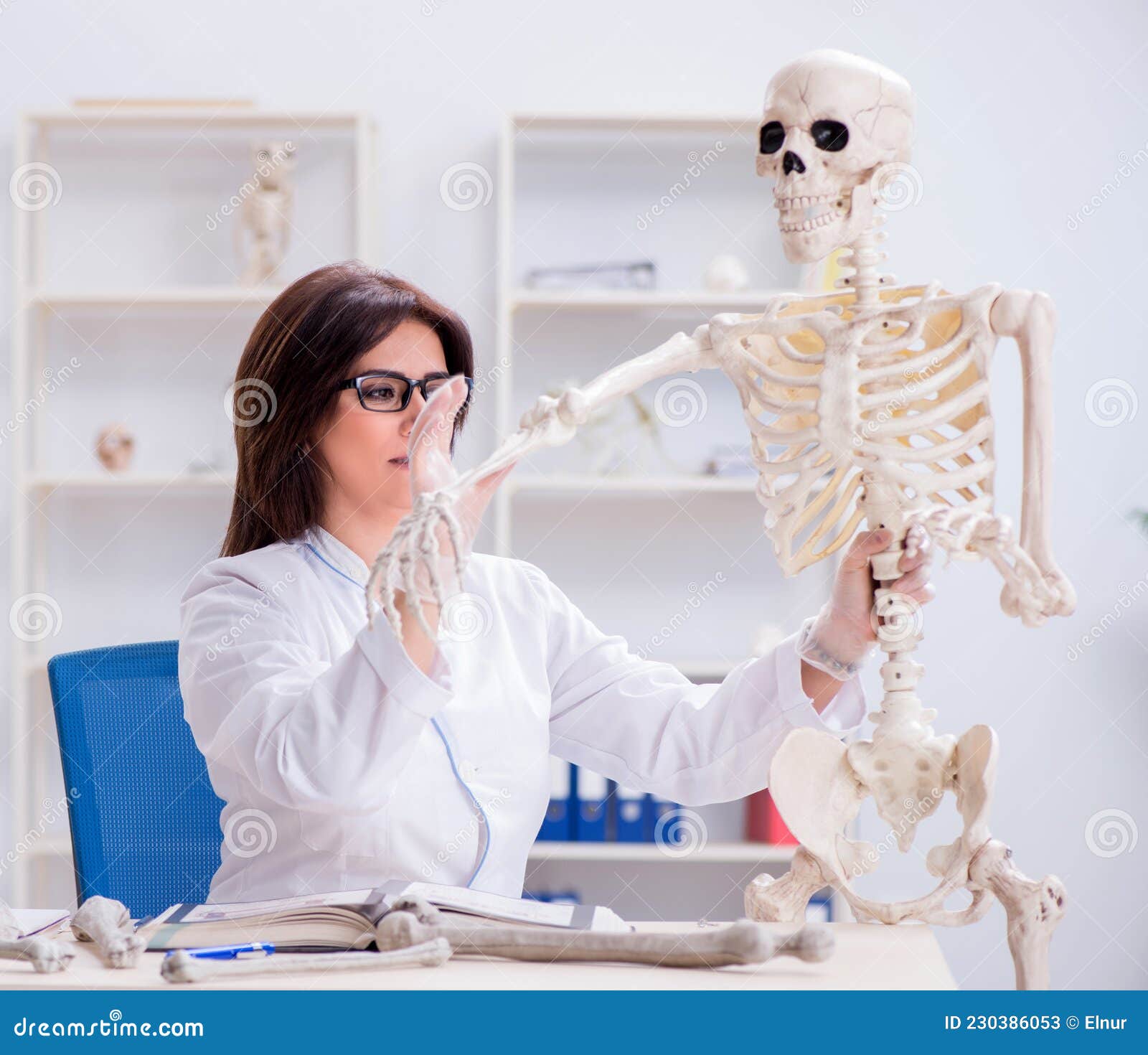 Doctor Working in the Lab on Skeleton Stock Image - Image of joint ...