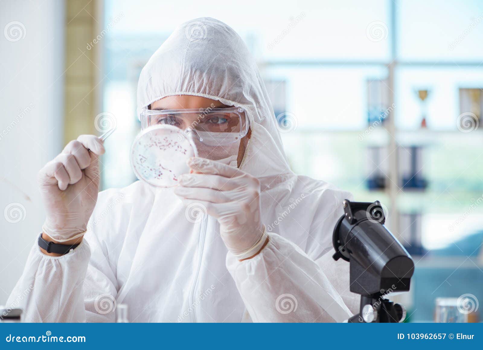 The Doctor Working on Virus in Medical Lab Stock Image - Image of ...