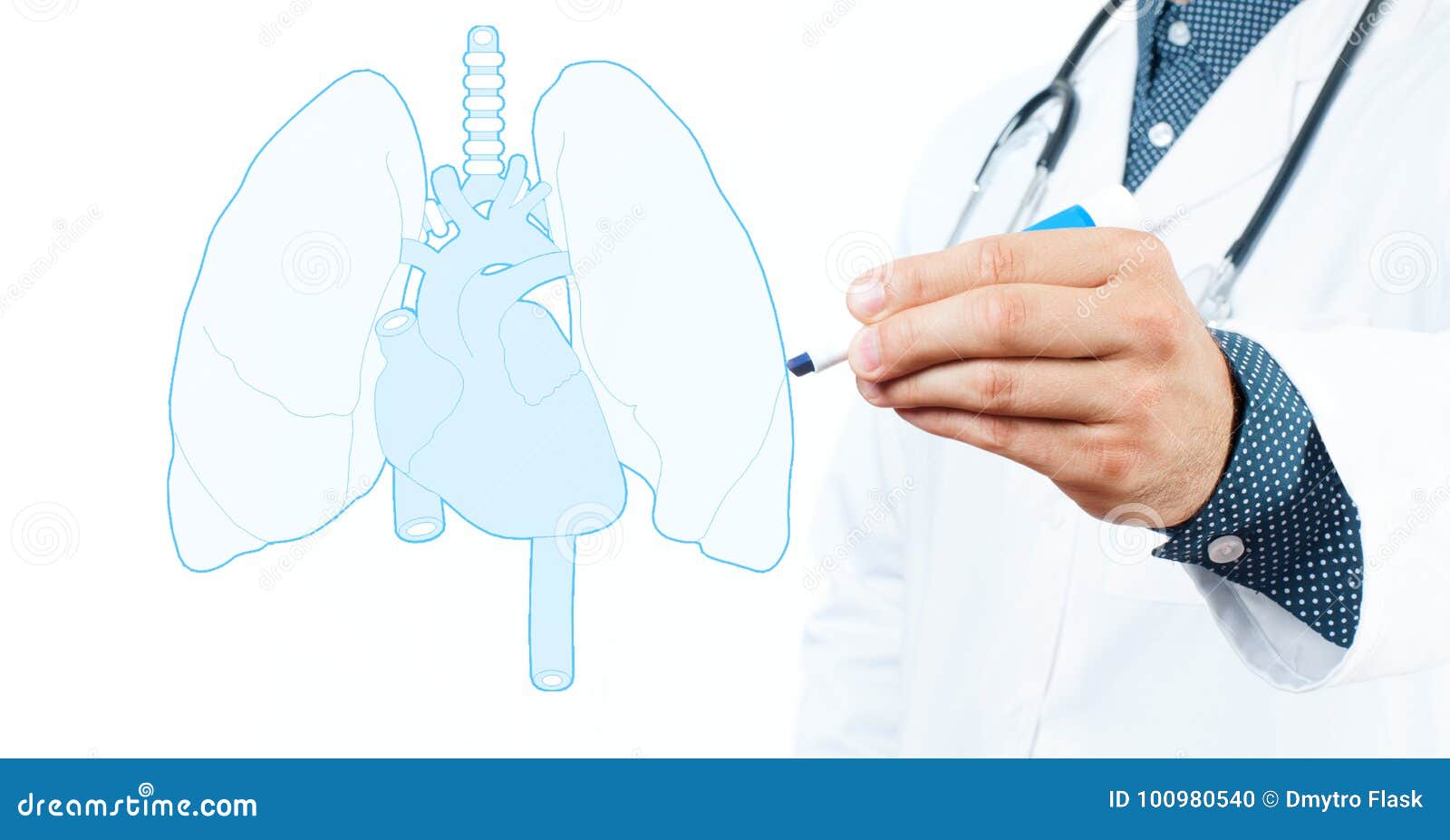 Doctor y pulmones foto de archivo. Imagen de médico - 100980540