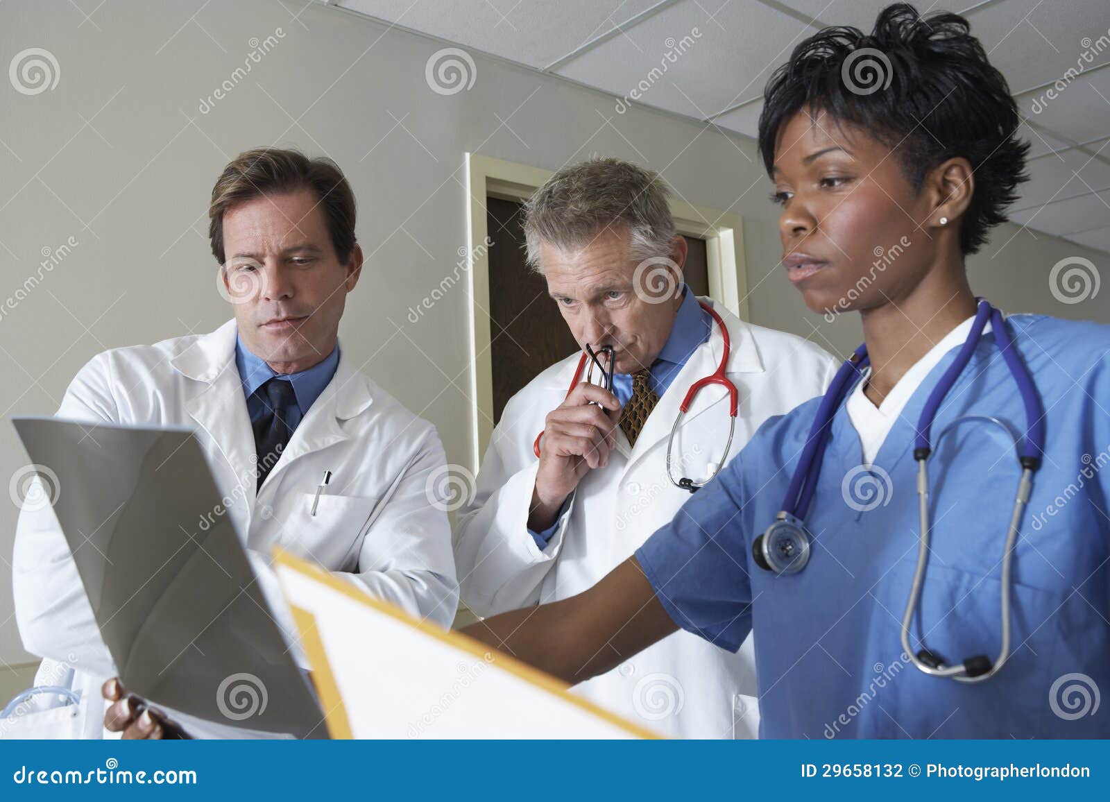 Doctors Analyzing X-Ray Report Stock Photo - Image of concentration ...