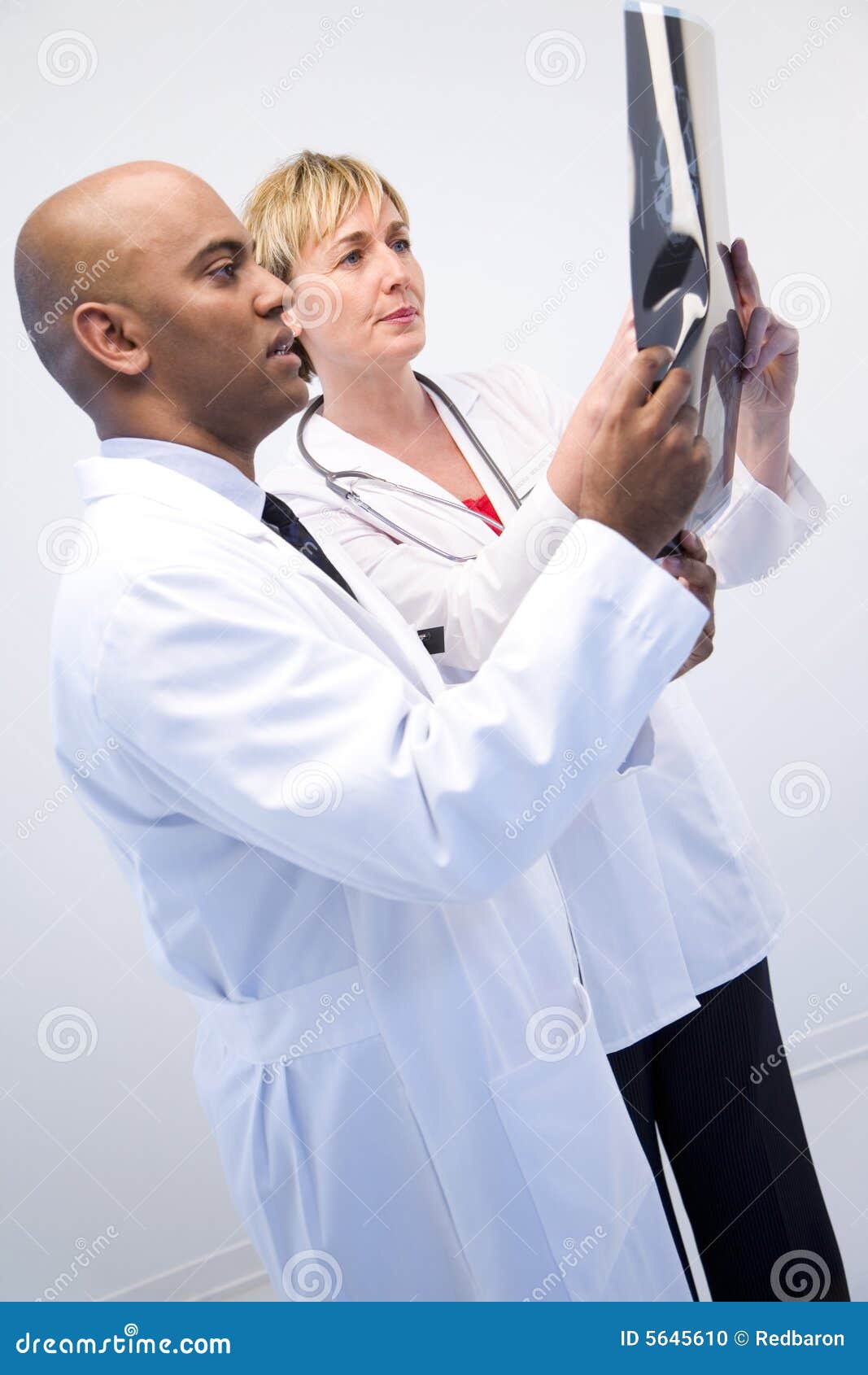 Doctors Checking Xray stock photo. Image of bald, african - 5645610