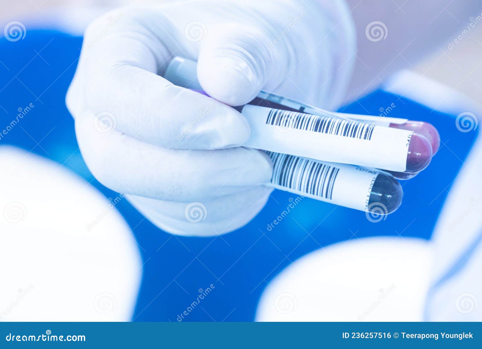 Doctors are Collecting Blood Samples from Patients for Examination ...