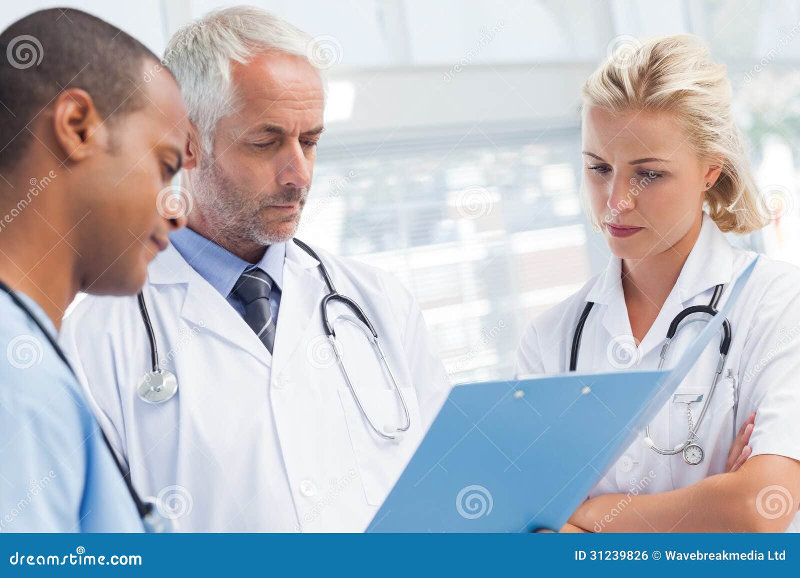Doctors examining a file stock photo. Image of medical - 31239826