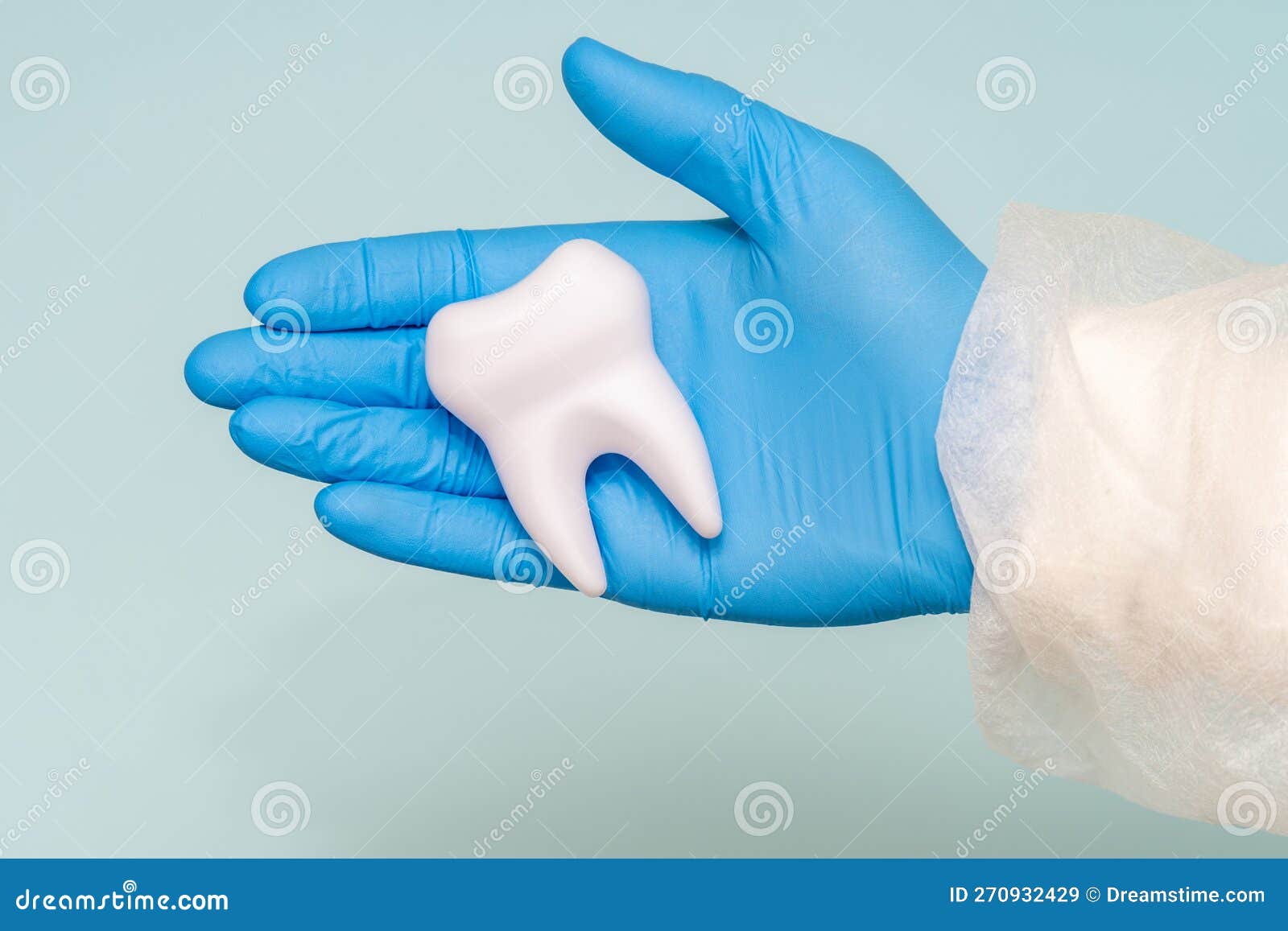 Doctors Hand Holding a Model of Tooth. Dentist Stock Image - Image of ...