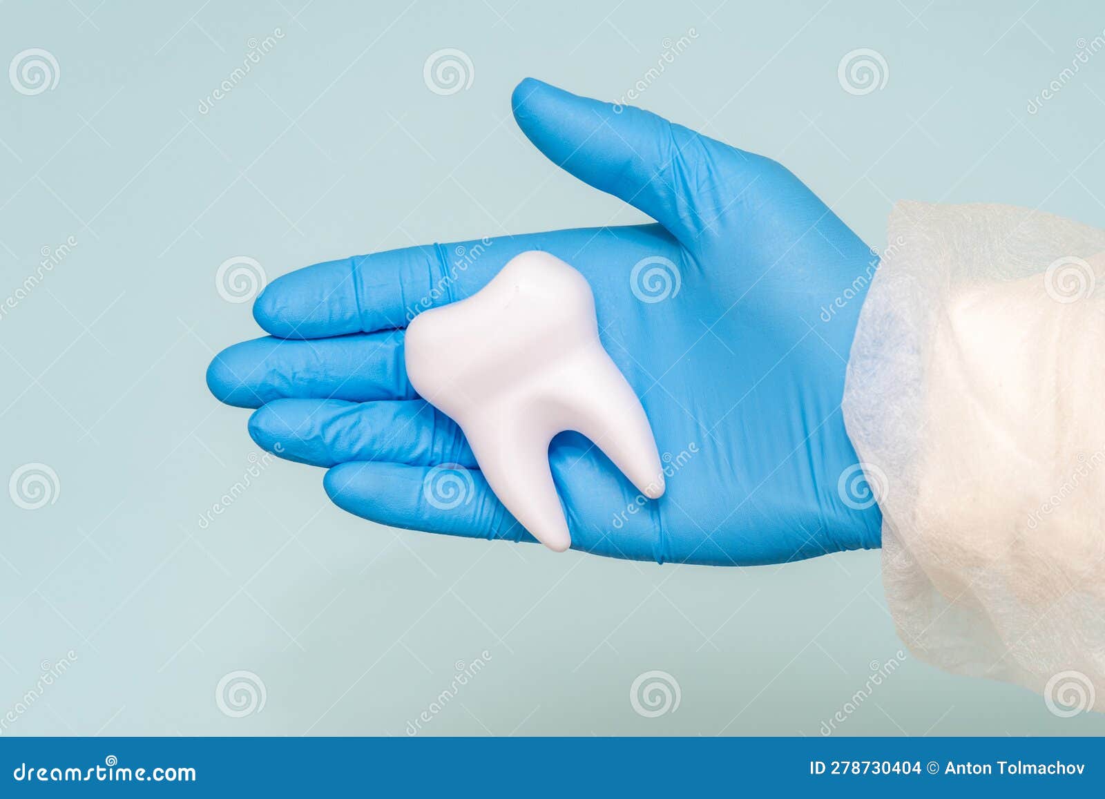 Doctors Hand Holding a Model of Tooth. Dentist Stock Photo - Image of ...