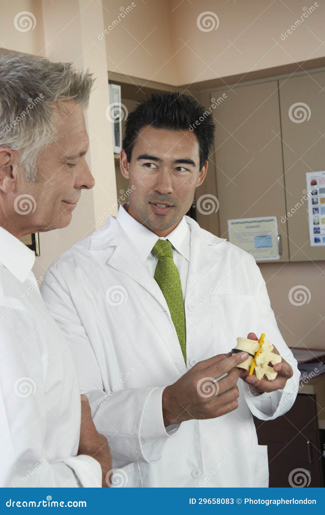 Doctors Looking at Medical Model Stock Image - Image of coat ...