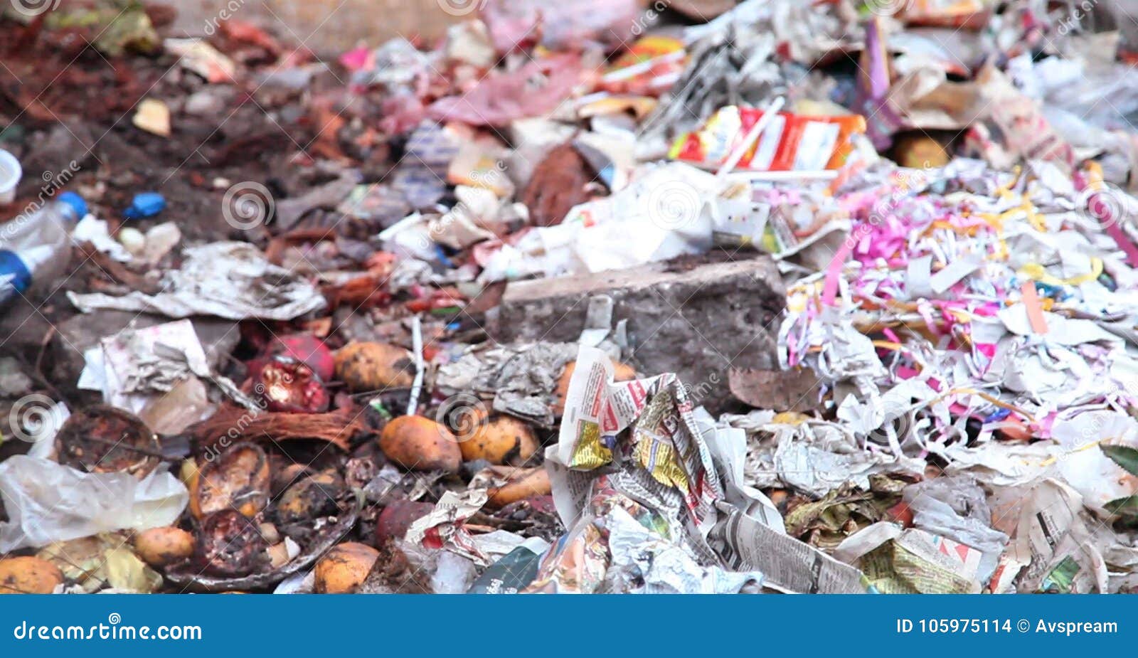 Document En Voedselafval - Rot Fruit En Plantaardig Afval in Een ...