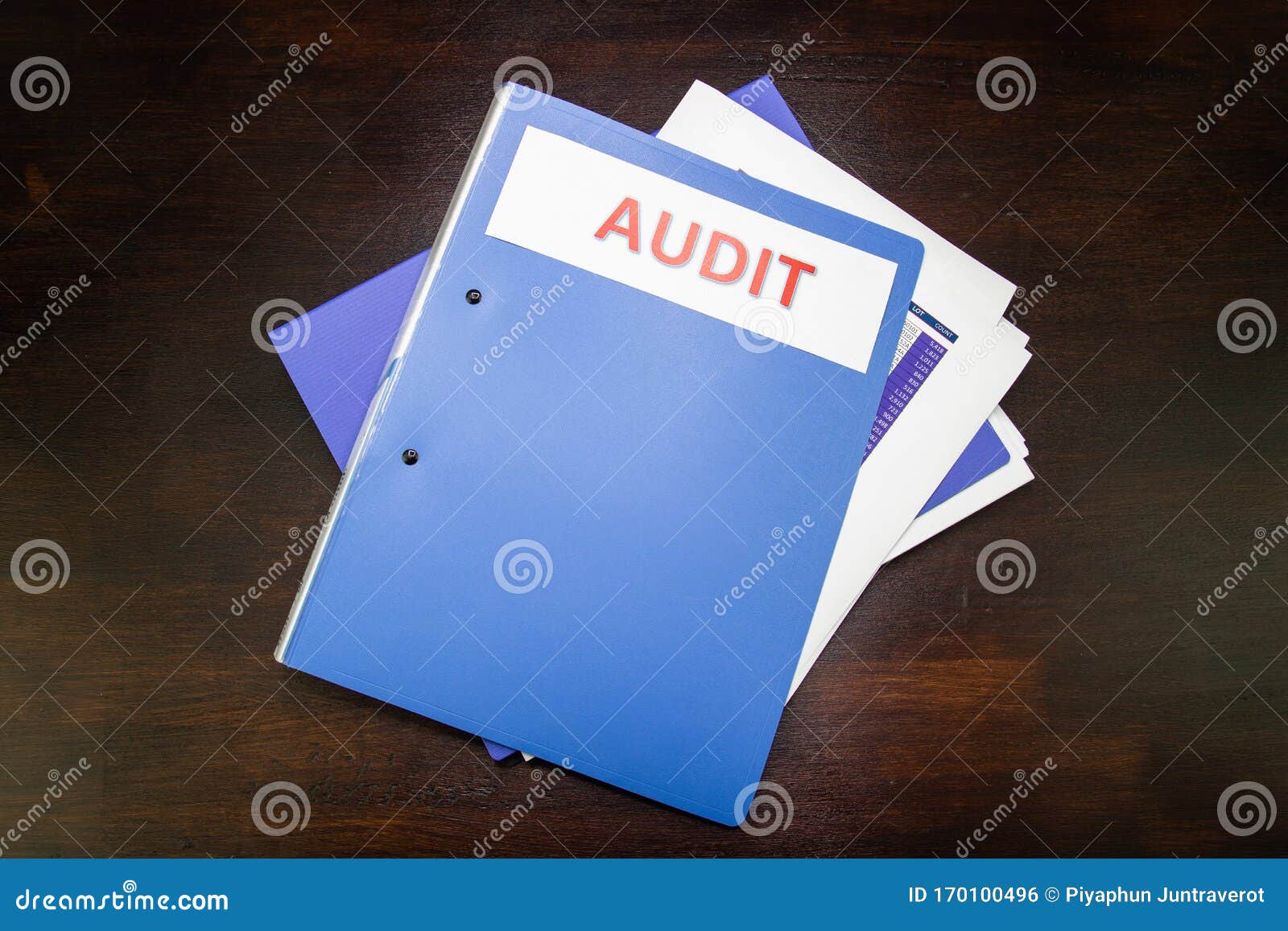 Document Folder for Audit, Business Concept Stock Photo - Image of ...
