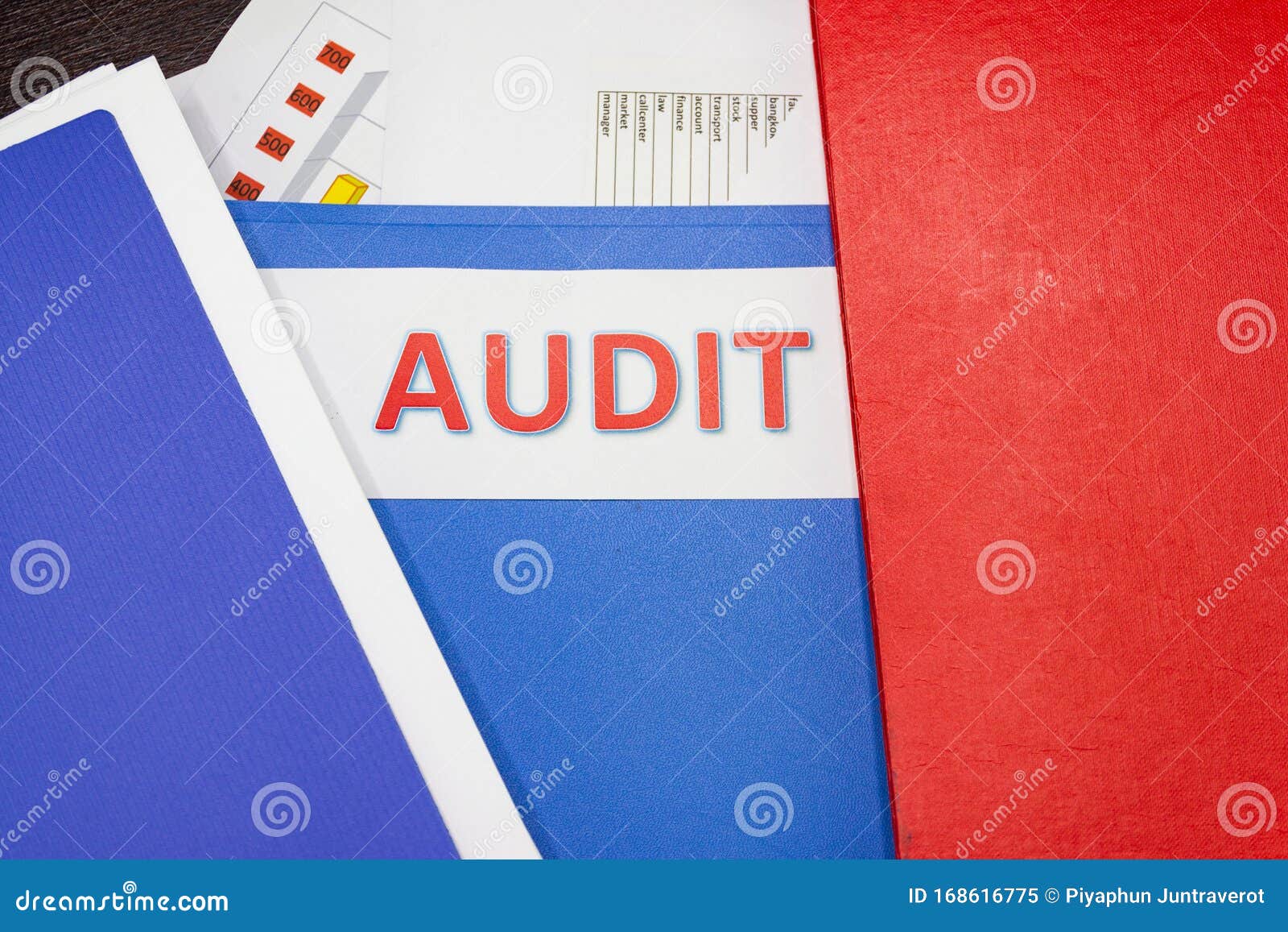 Document Folder for Audit, Business Stock Image - Image of bureaucracy ...