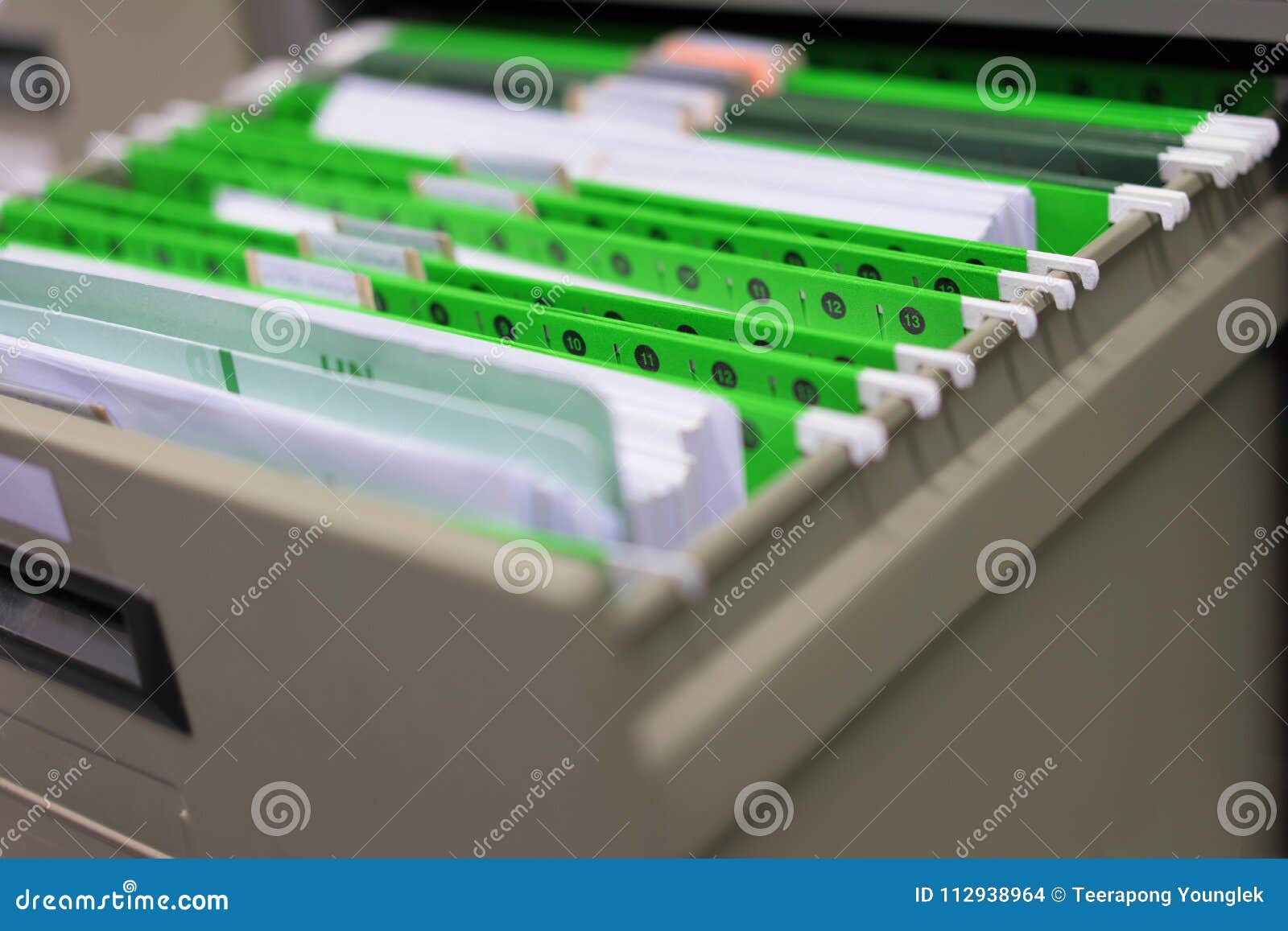 Document Shelf and Green File in the Cabinet in the Office in Th Stock ...