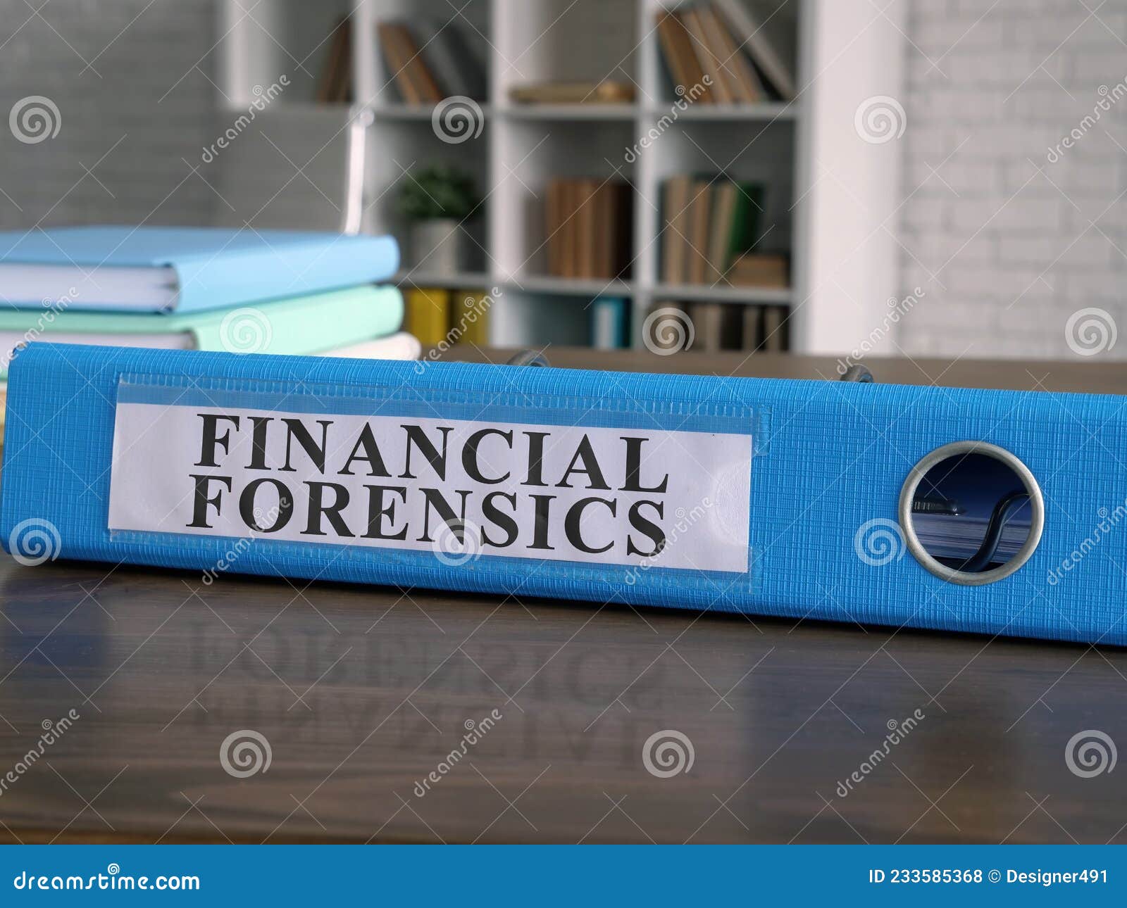 Documents about Financial Forensics in the Folder. Stock Photo - Image ...