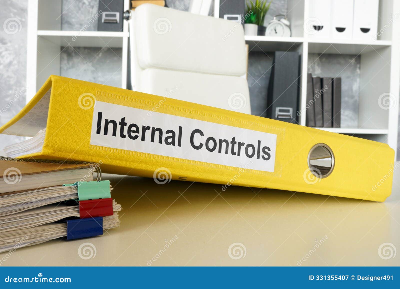 Documents and a Folder about Internal Controls, or Organizational ...