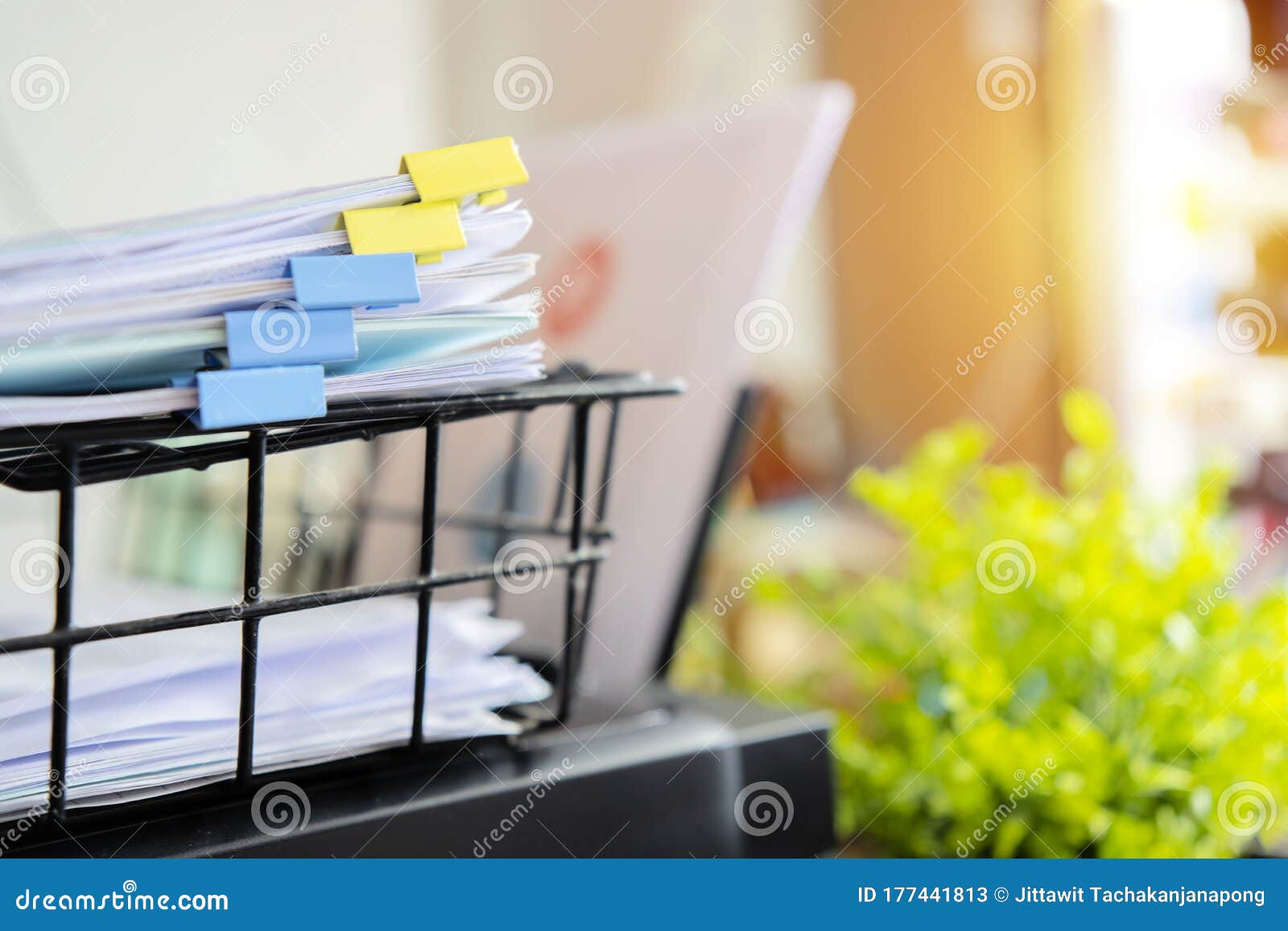 Documents Placed in the Office on the Document Basket Stock Image ...