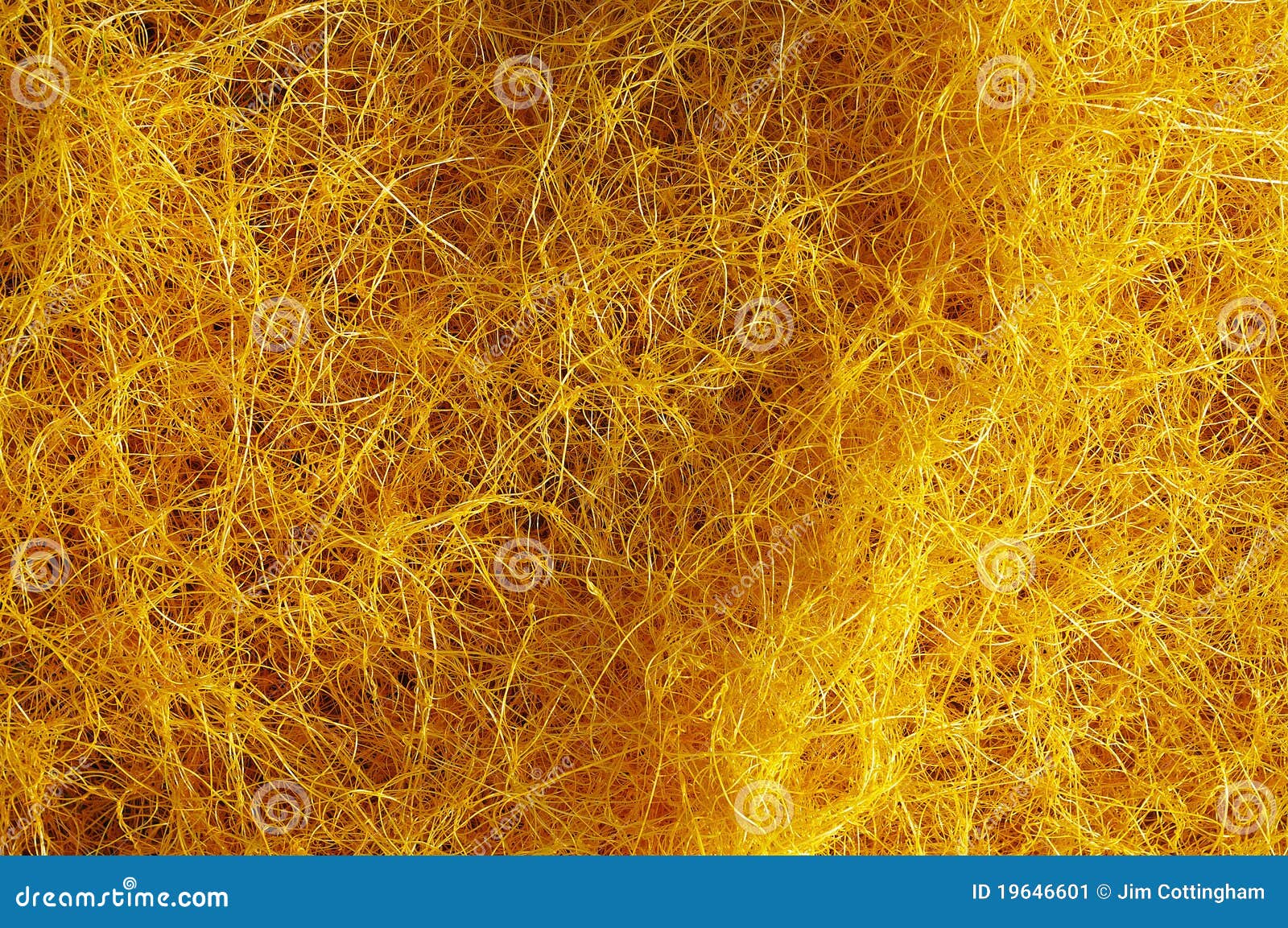 Dodder - a Parasitic Plant stock image. Image of kill - 19646601