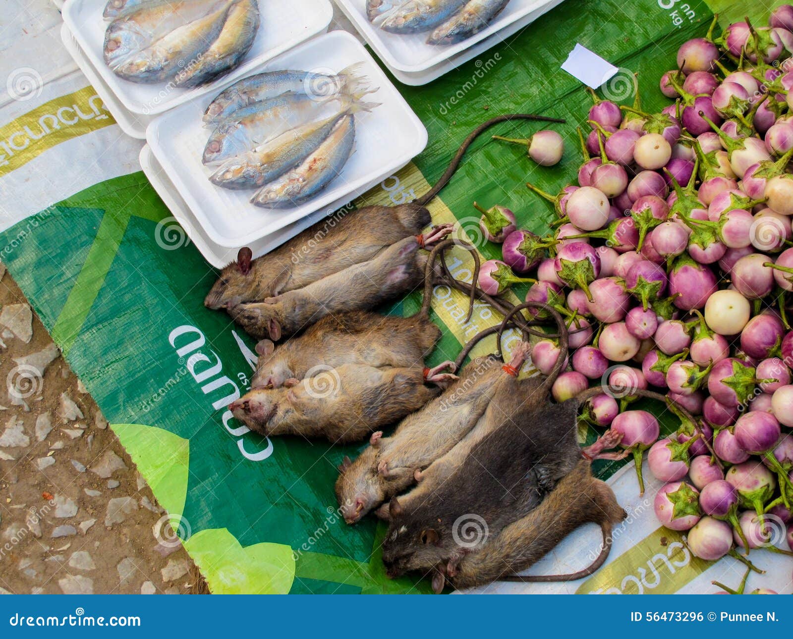 Dode muis in de markt stock foto. Image of vuil, citroen - 56473296