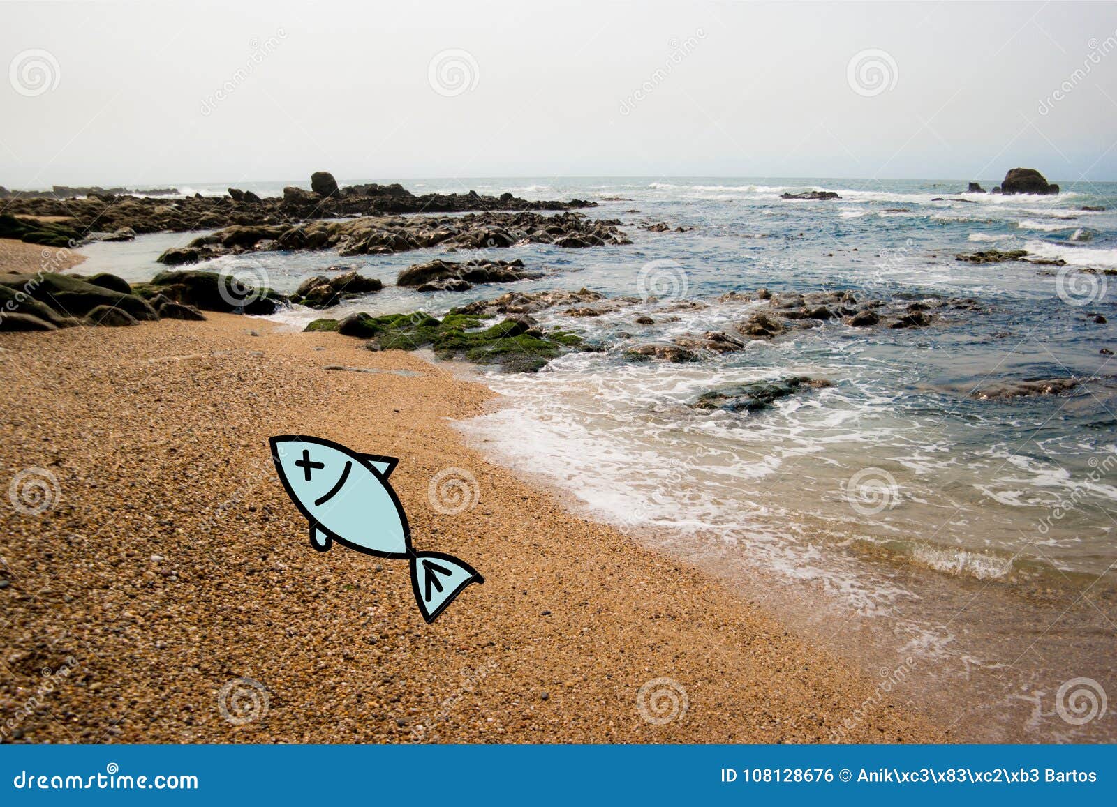 Dode vissen bij de kust stock foto. Image of milieu - 108128676