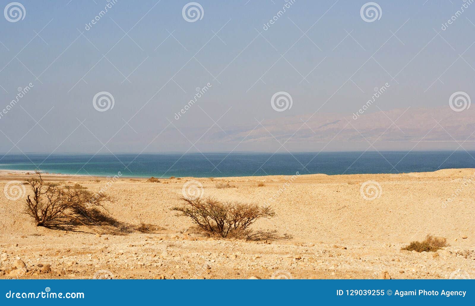 Dode Zee, Israel; Dead Sea, Israel Stock Image - Image of dode, israel ...