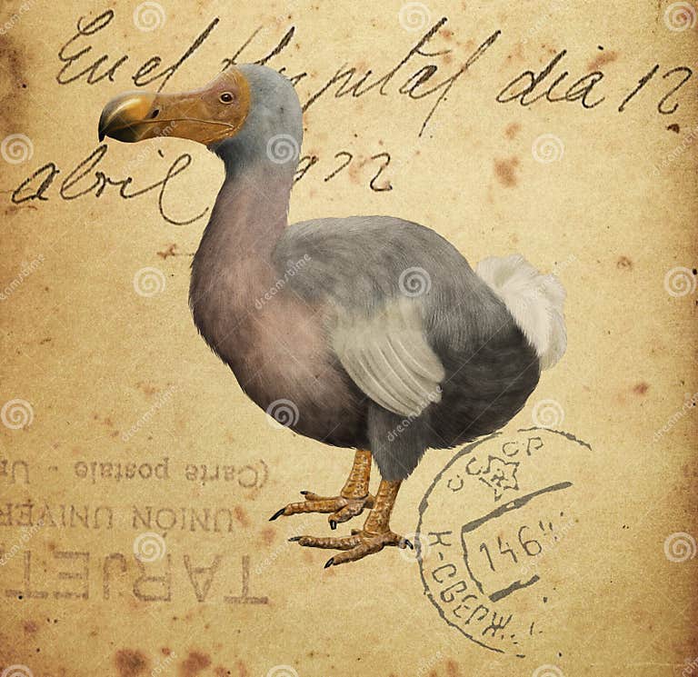Dodo ilustração stock. Ilustração de wildlife, moagem - 49468895