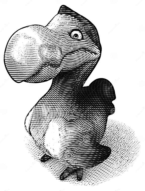 Dodo ilustração stock. Ilustração de pena, renda, animal - 68606830