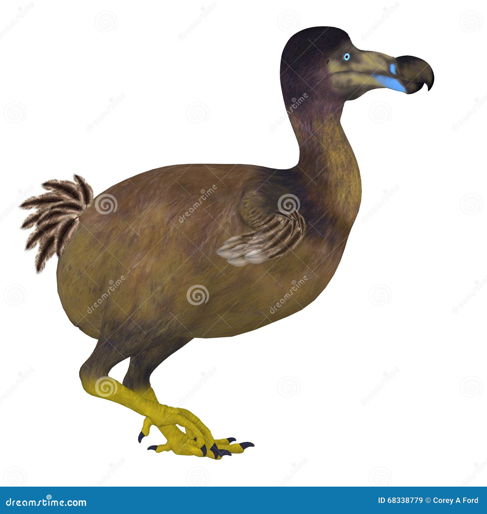 Dodo Bird Illustration Cartoon Vector | CartoonDealer.com #73040845