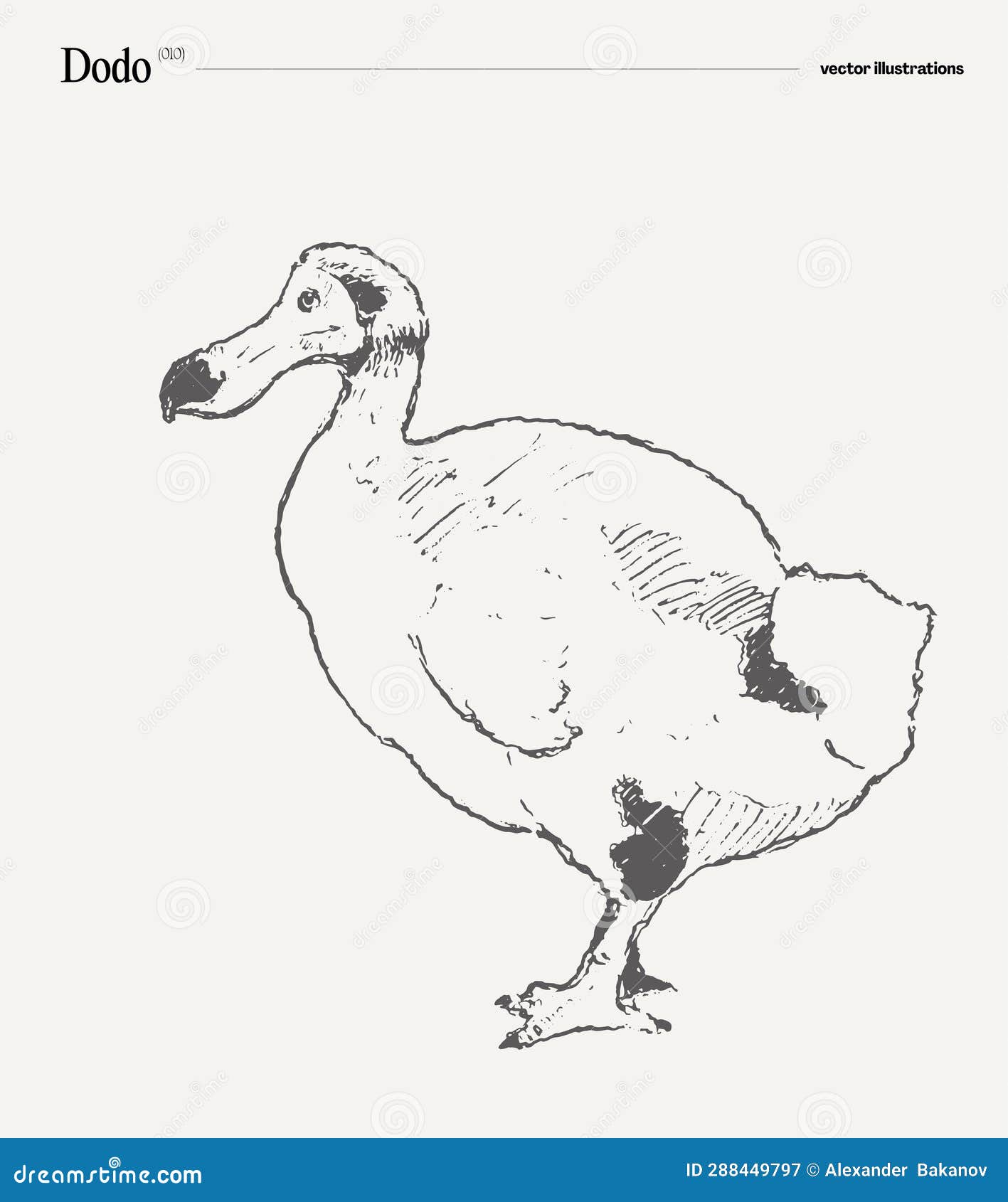 Sketch Dodo Bird. Cartoon Vector | CartoonDealer.com #71616761