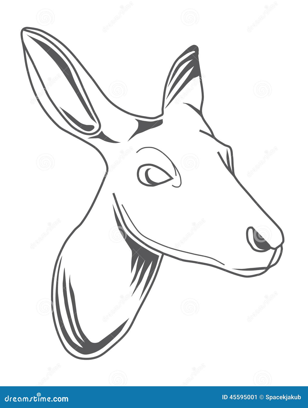Doe Deer Face Drawing