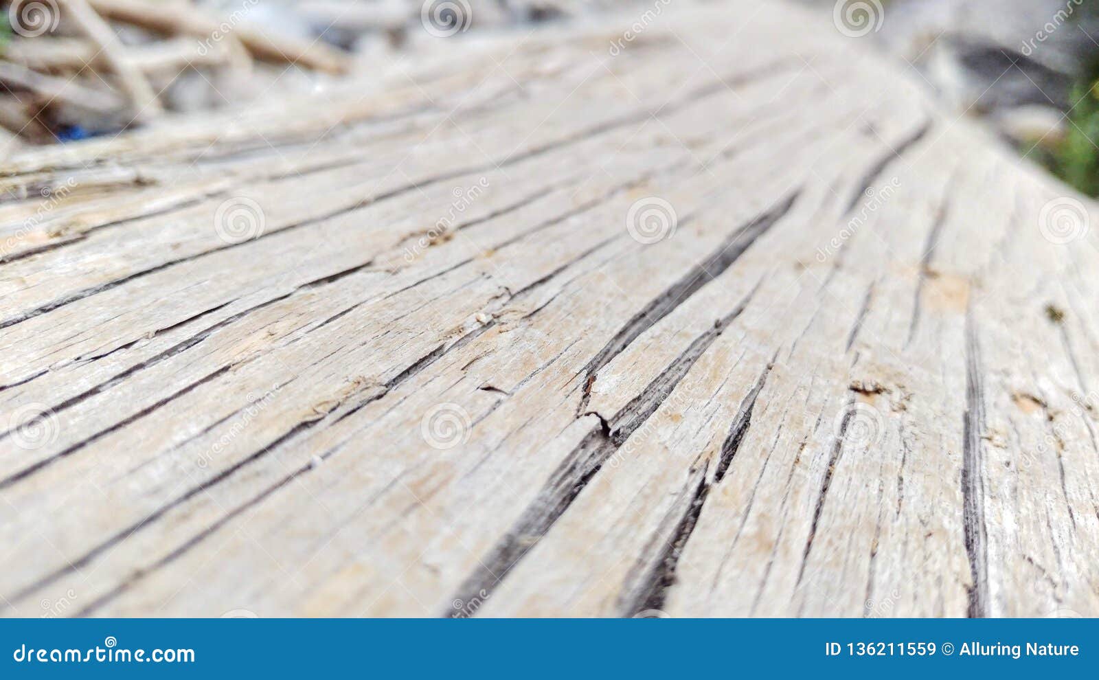 Twisted Pine Tree Trunk Bark Stock Image - Image of thick, wallpaper ...