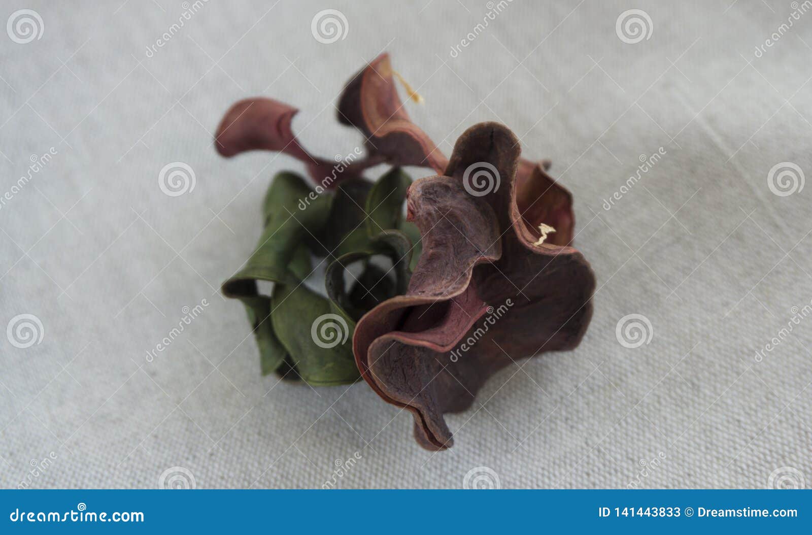 Dofta - Something Beautiful Stock Image - Image of texture, gulf: 141443833