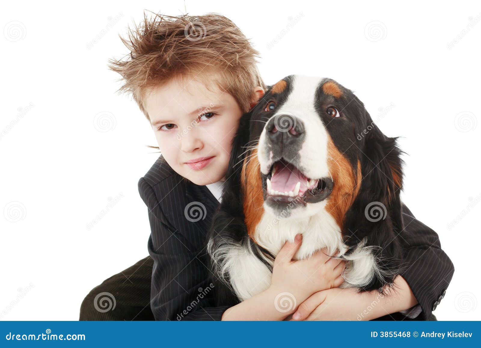 Dog stock photo. Image of cheerful, male, handsome, happy - 3855468