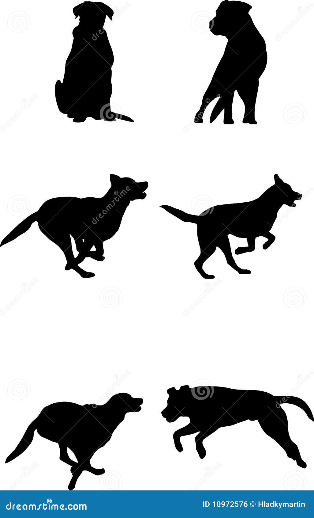 Dog in action stock vector. Illustration of collection - 10972576