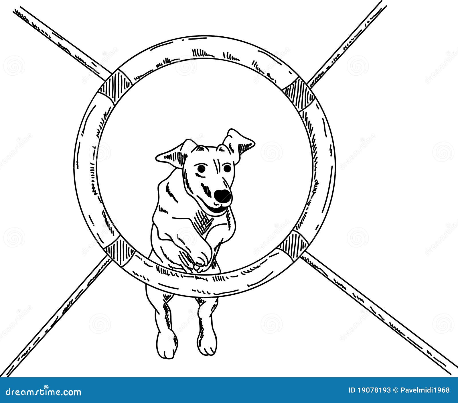 Dog Agility Equipment Clip Art