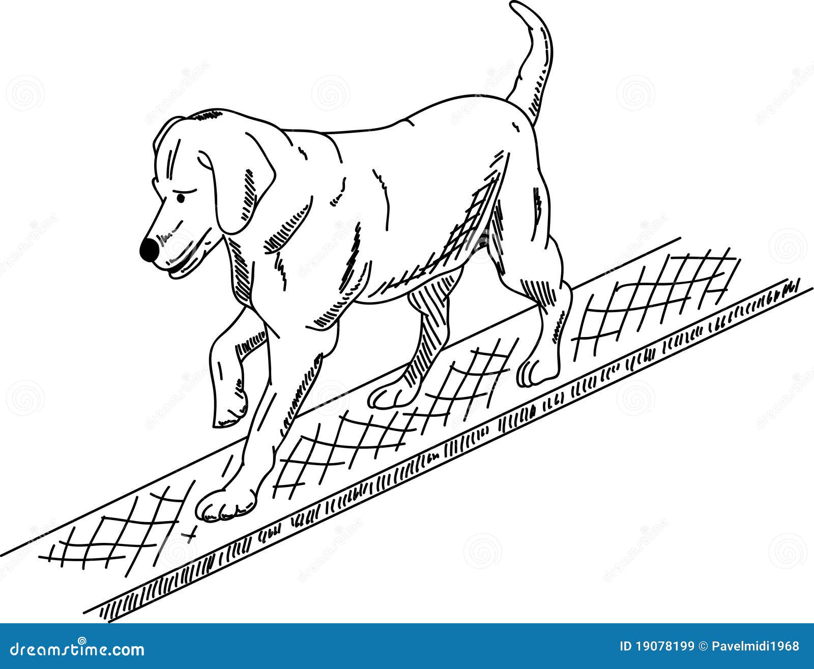 Dog agility stock vector. Illustration of playful, vector - 19078199