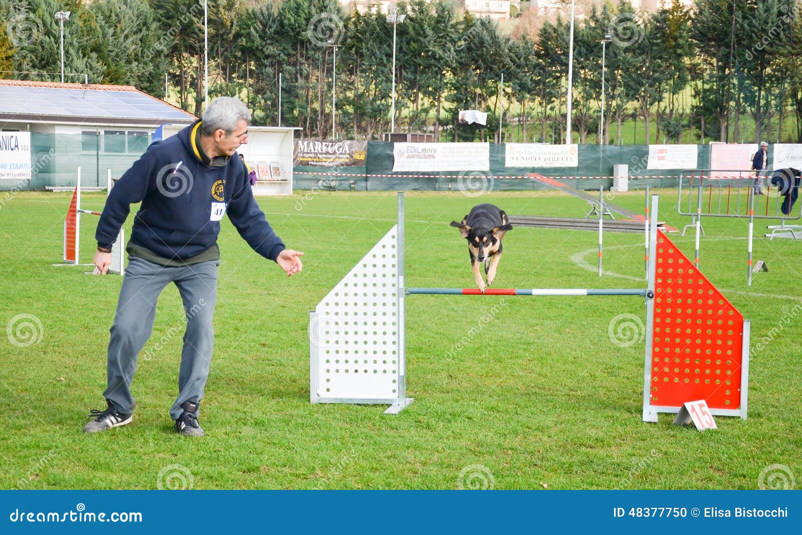 Dog in Agility Competition Jumping Over Obstacle Editorial Image ...
