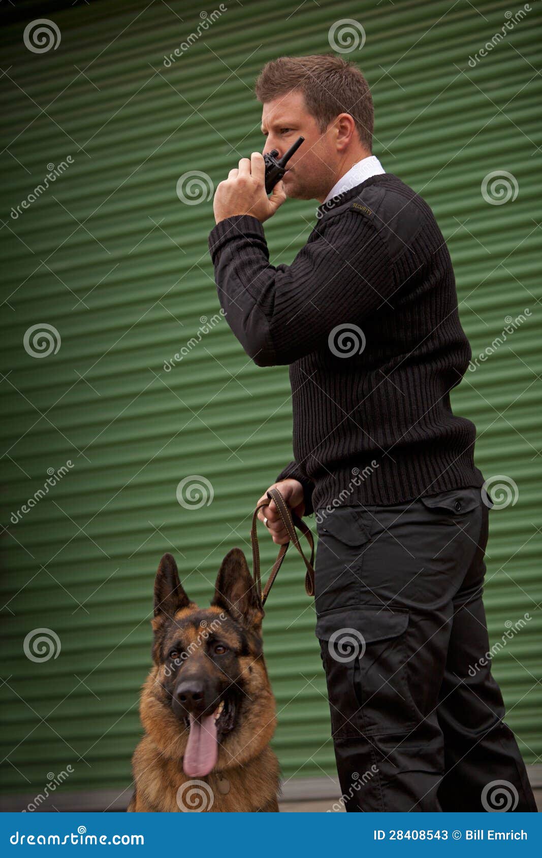 Dog Alert stock image. Image of kidnapping, burglar, forces - 28408543
