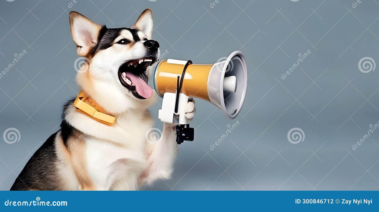 Dog Announcing Using Megaphone. Notifying, Warning, Announcement Stock ...